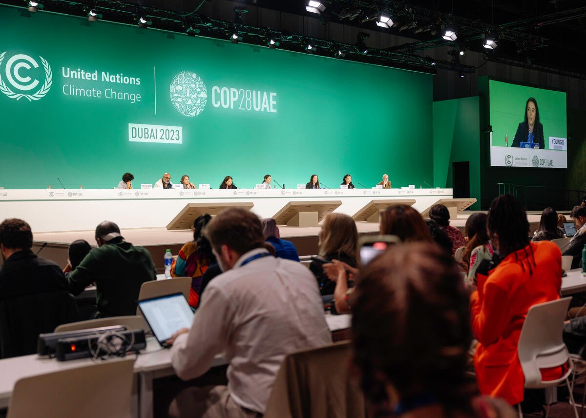 COP29: what you need to know about the annual global climate summit
